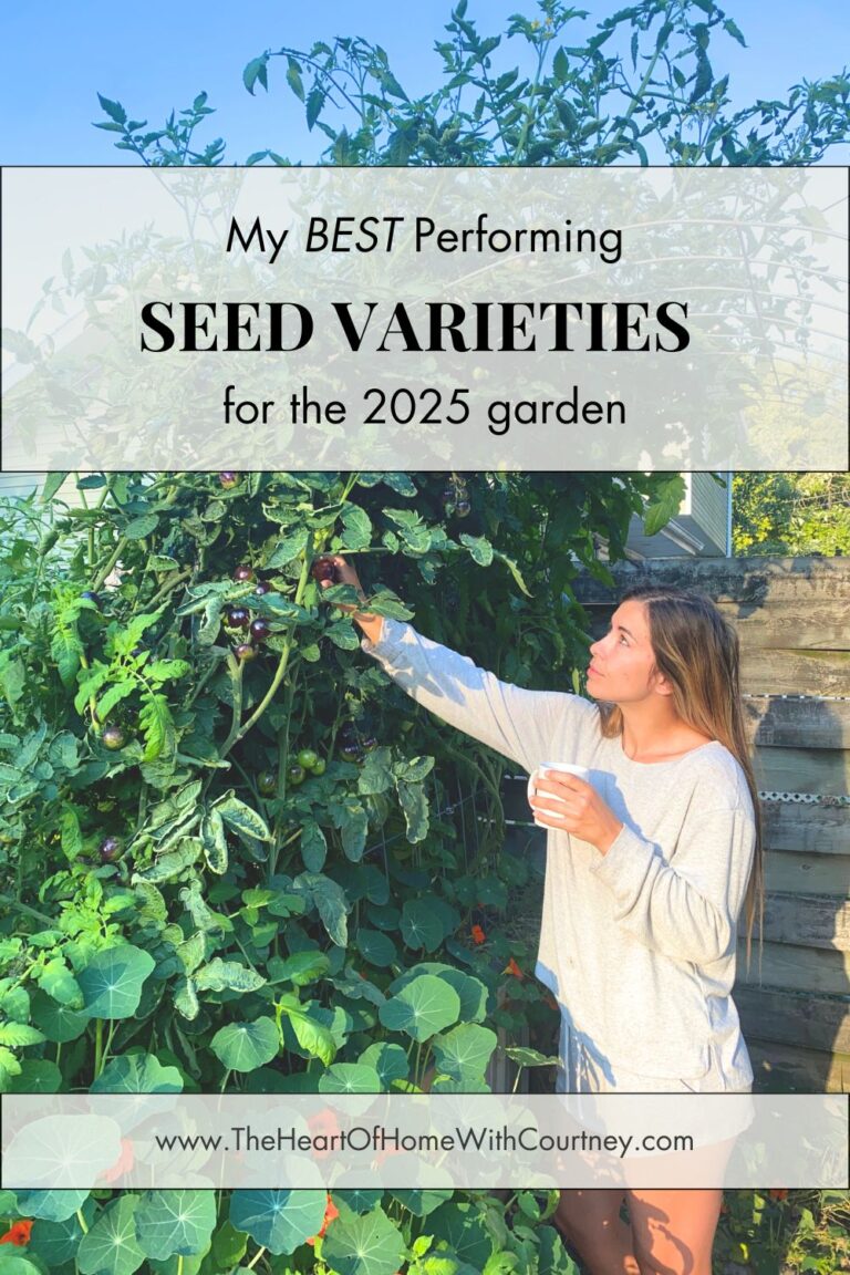 Top 10 Seed Varieties for Your New 2025 Suburban Garden - The Heart Of Home