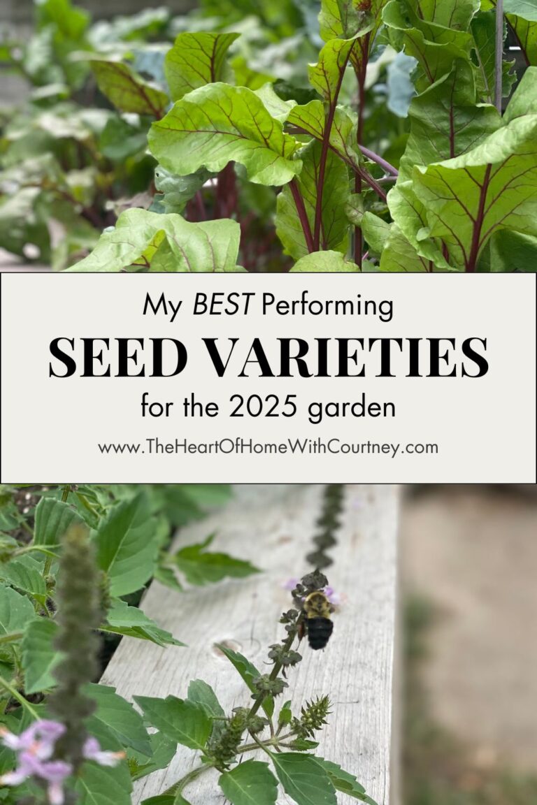 Top 10 Seed Varieties for Your New 2025 Suburban Garden - The Heart Of Home