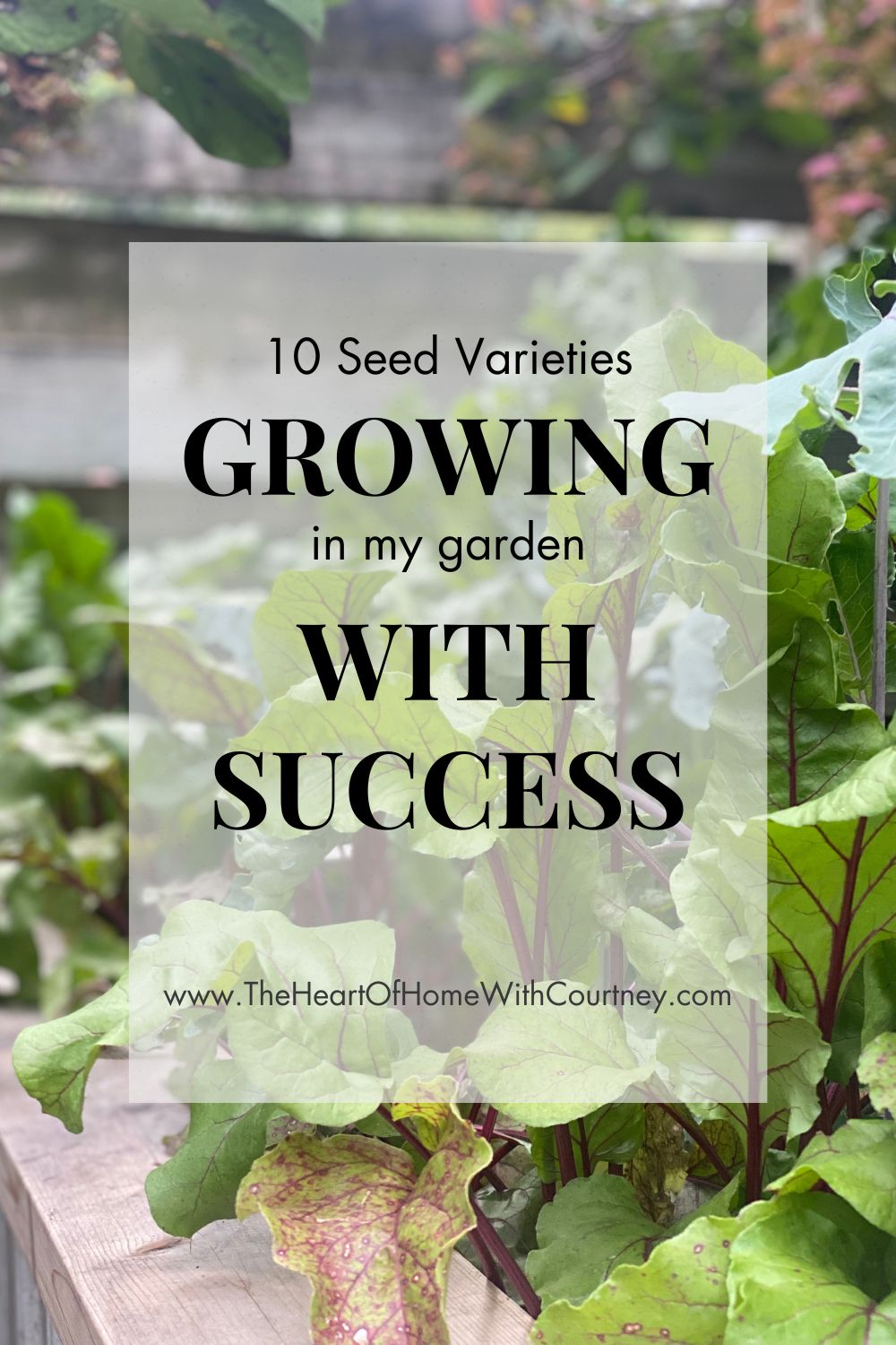 Top 10 Seed Varieties for Your New 2025 Suburban Garden - The Heart Of Home