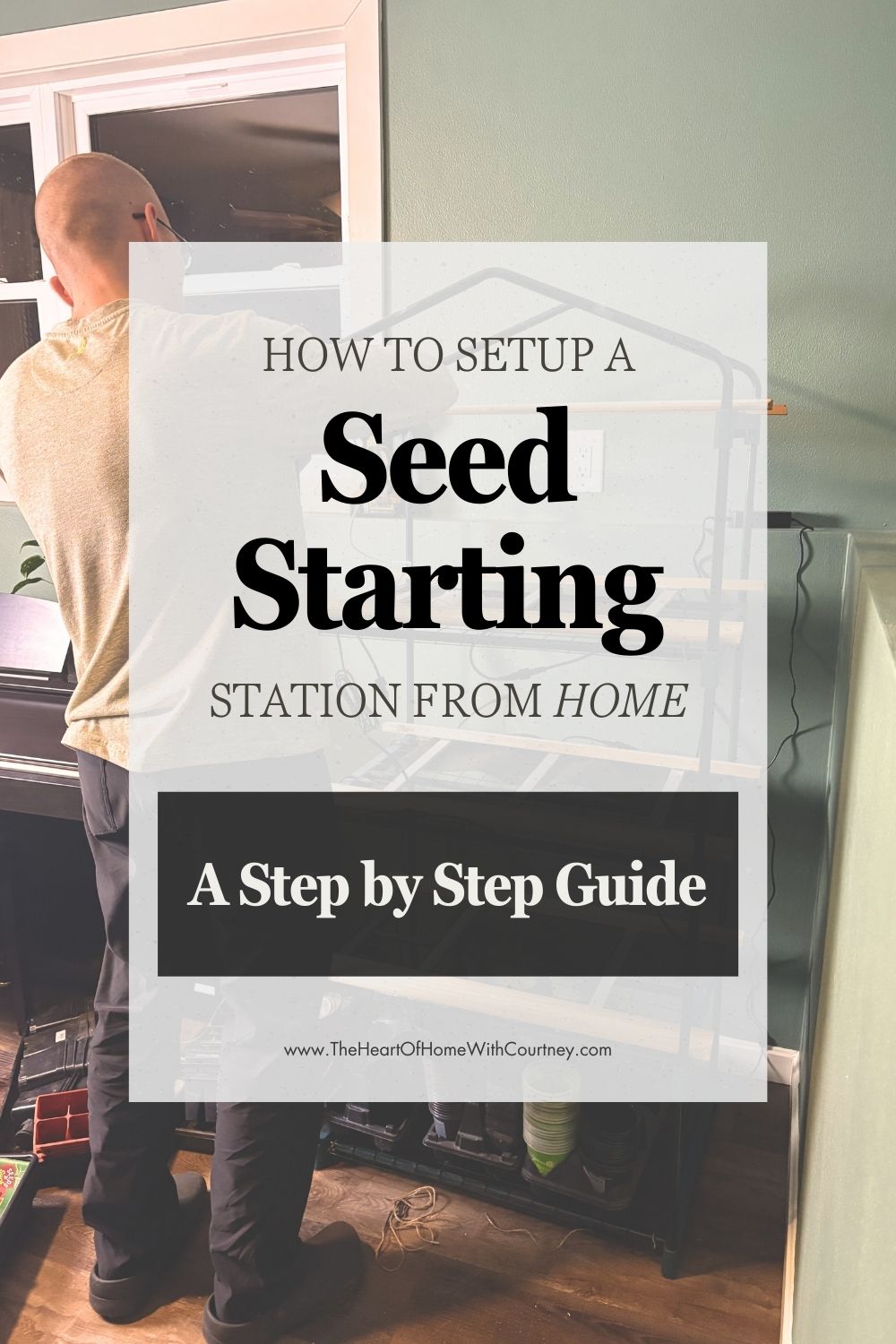 How to Start Seeds Indoors: A Beginner's Guide to Success - The Heart ...