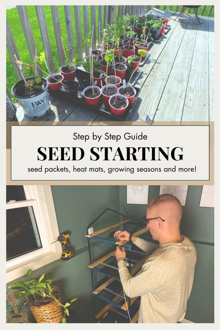 How to Start Seeds Indoors: A Beginner's Guide to Success - The Heart ...